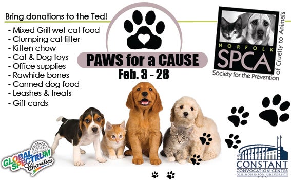 Paws For A Cause | Chartway Arena, Norfolk, Virginia